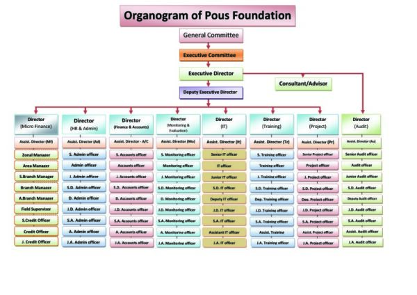 Organogram – POUS Foundation